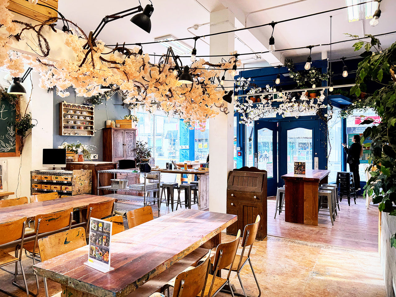 grand opening workshop special – 4Cats